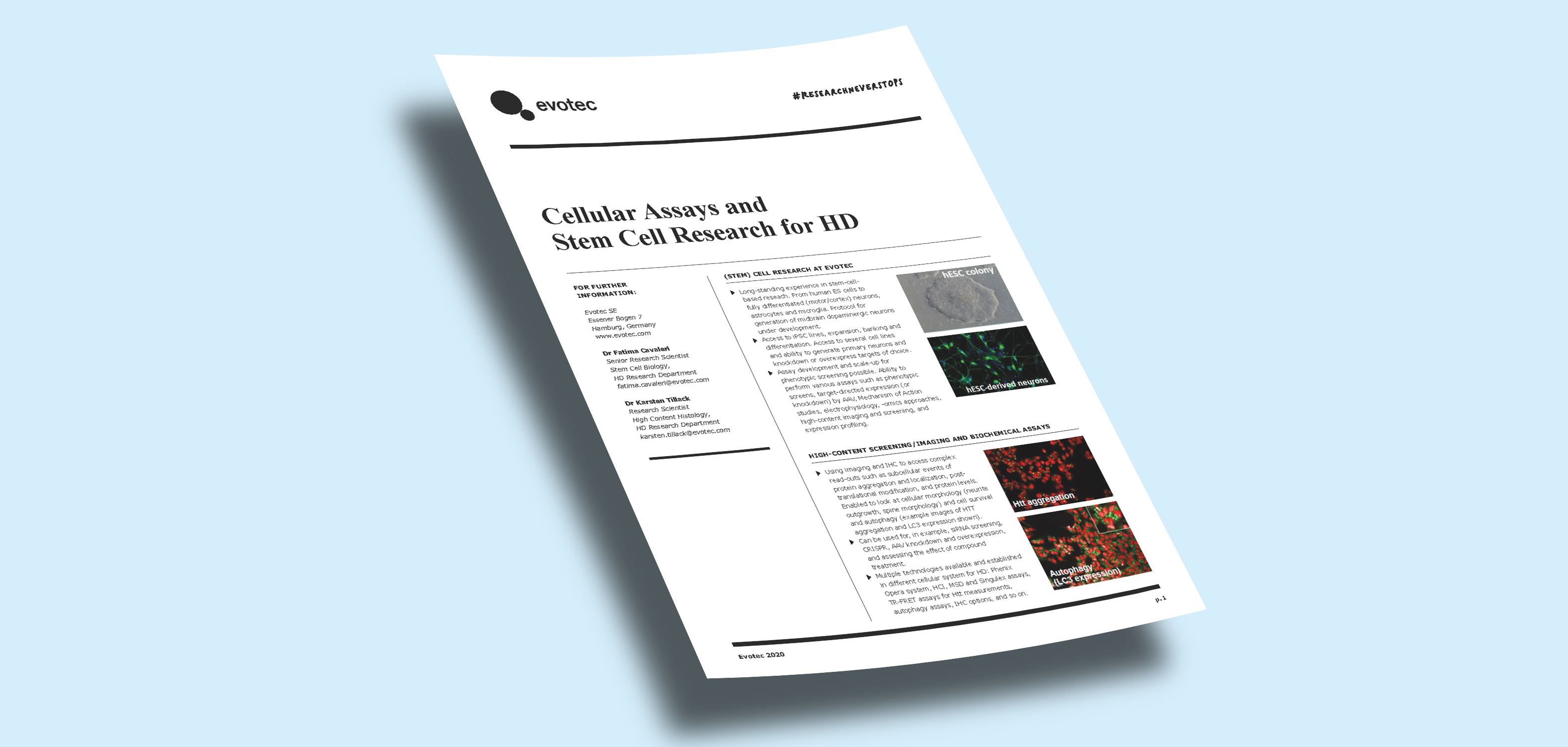 Huntington's Disease Stem Cell Research Fact Sheet Huntington's Disease Stem Cell Research Fact Sheet
